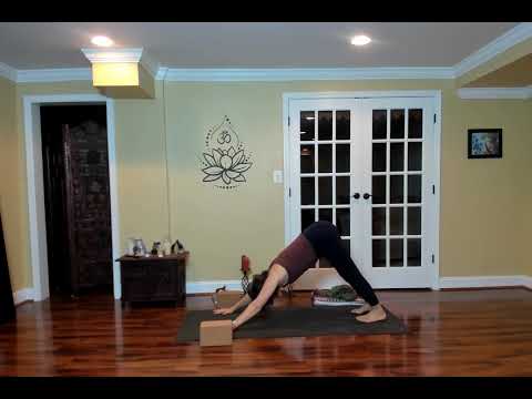 Susan Barber Yoga - 50 min. BASICS Foundational Flow. (level 1-2 ...
